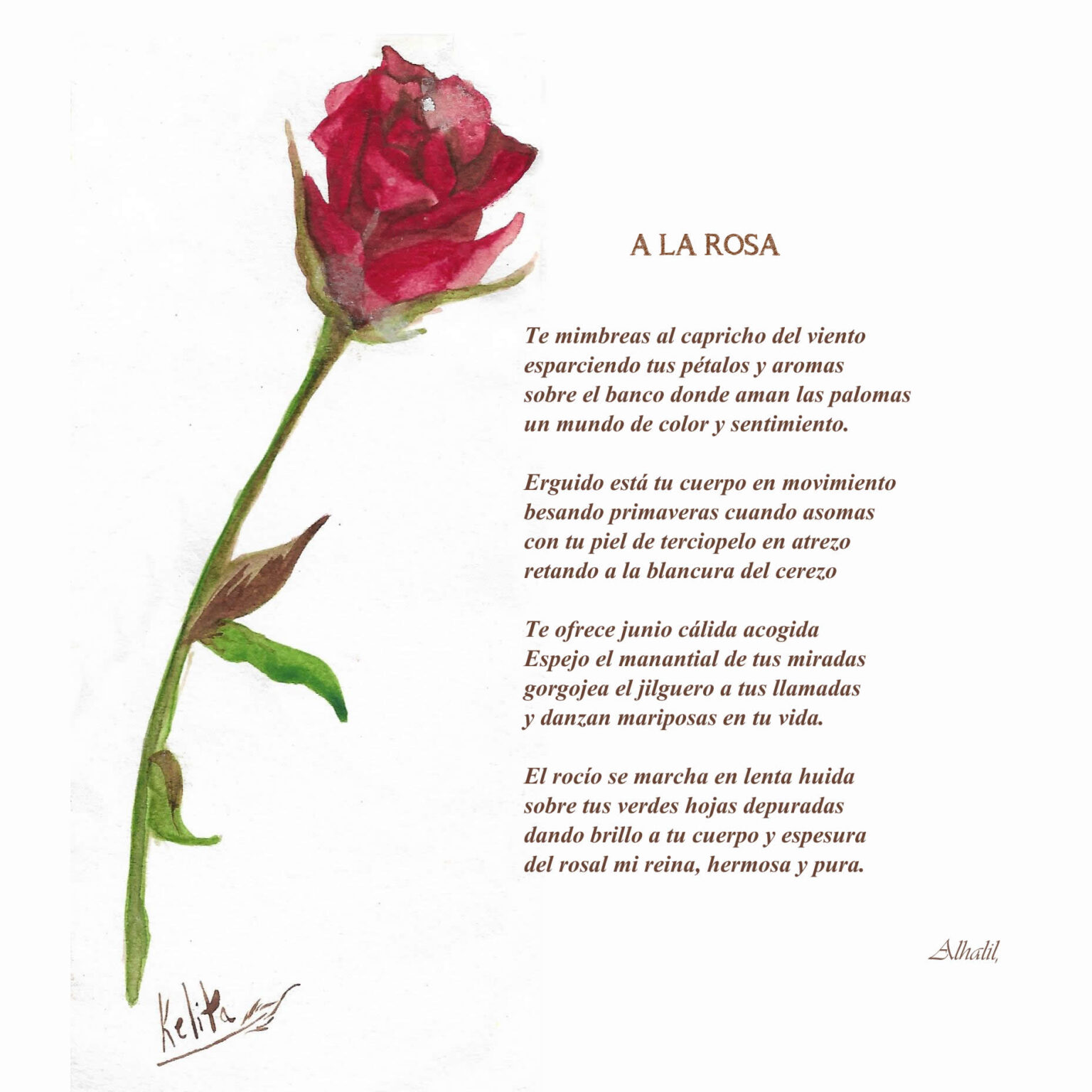 A una rosa: la belleza eterna en versos poéticos - Poemas Blog